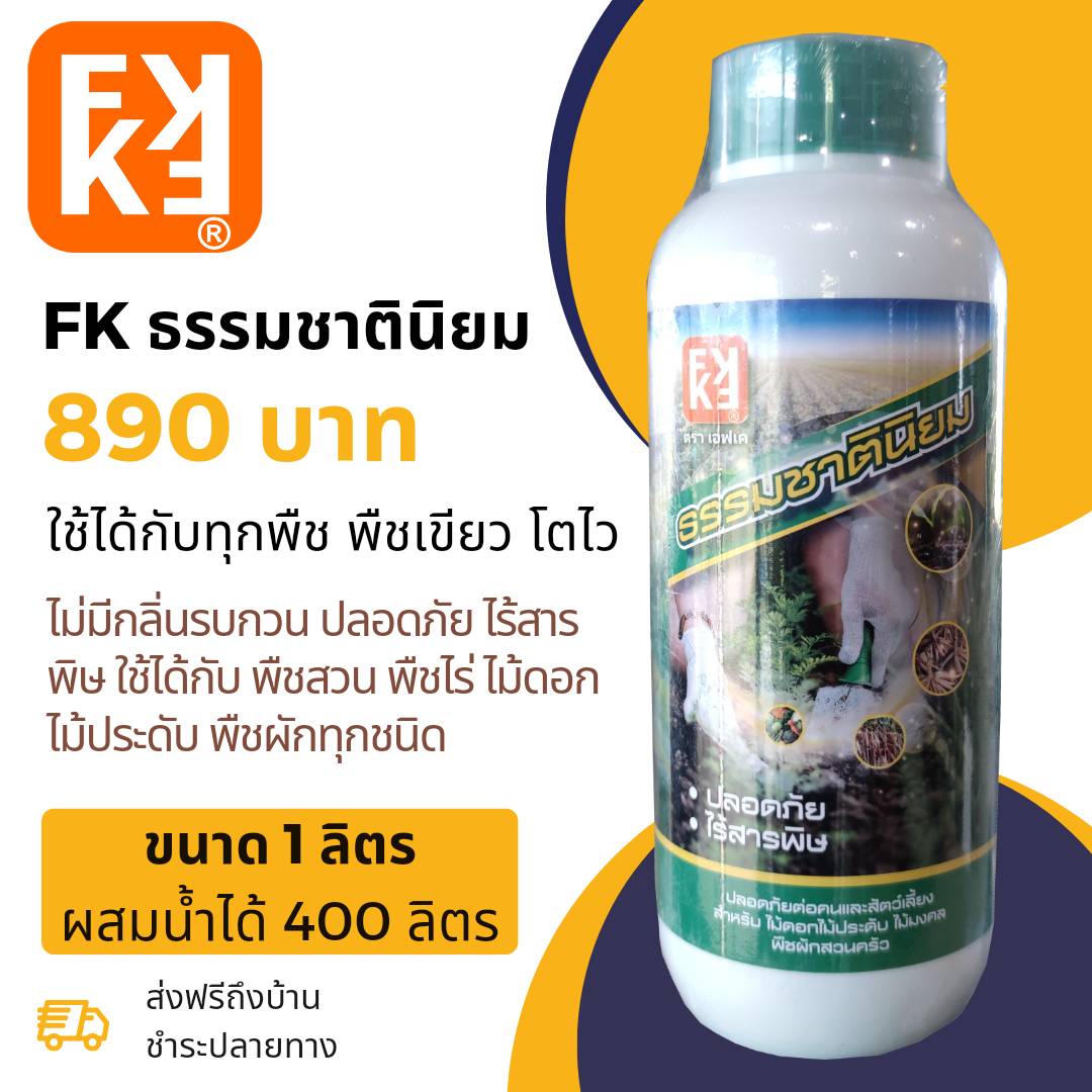 เพลี้ยทุเรียน เพลี้ยไก่แจ้ทุเรียน เพลี้ยอ่อน เพลี้ยไฟ เพลี้ยต่างๆ มาคา ...